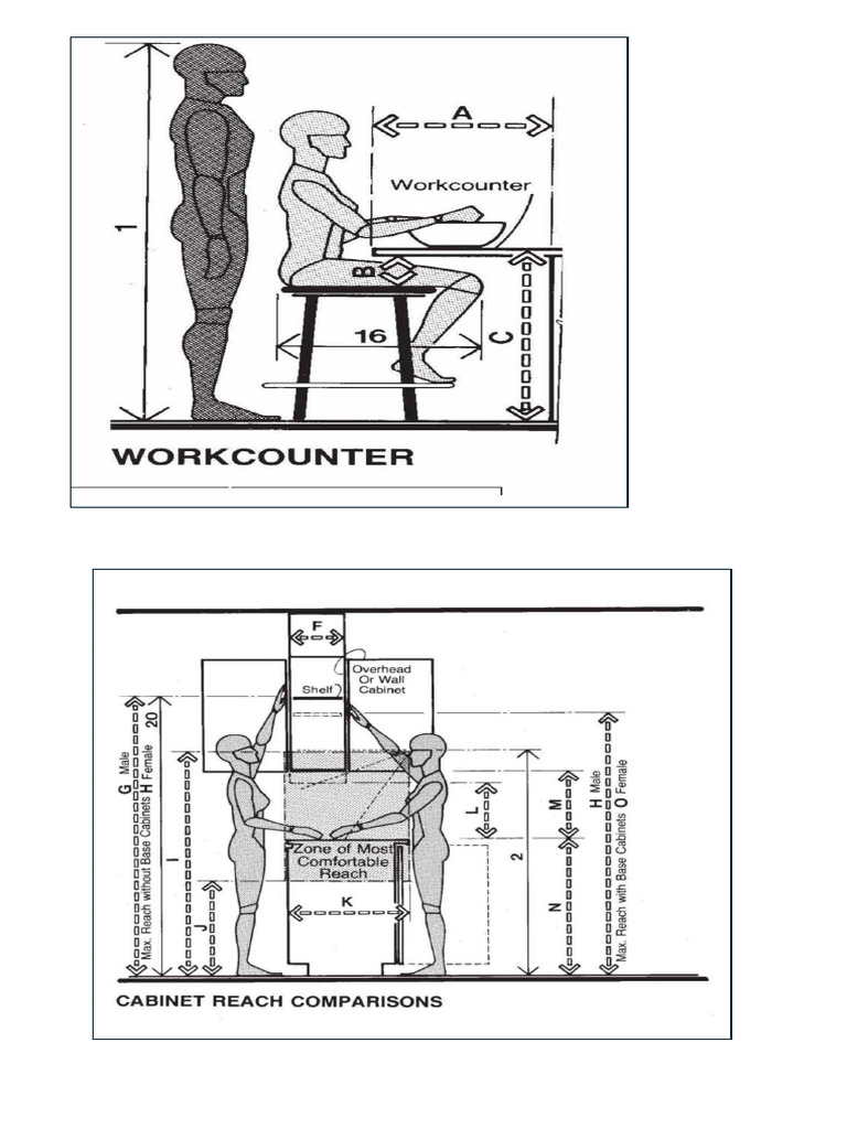 Anthropometry | PDF