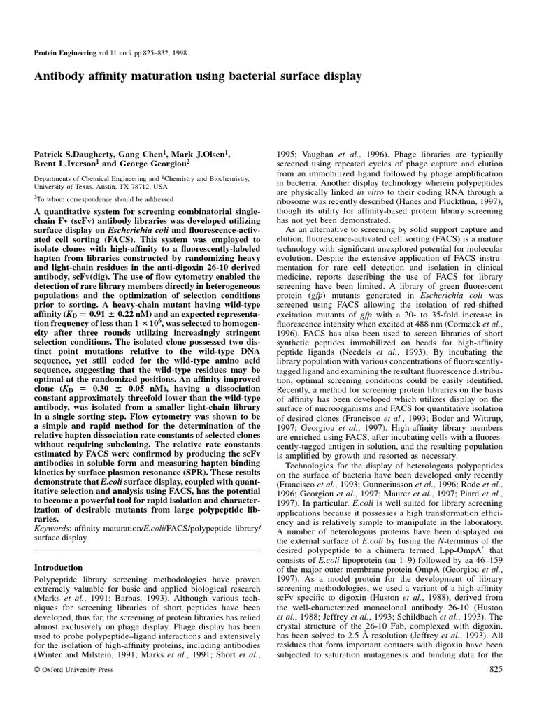 Antibody Affinity Maturation Using Bacterial Surface Display | Download ... Antibody Affinity Maturation Using Bacterial Surface Display | Download ...