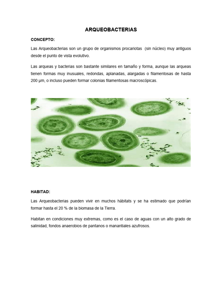 ARQUEOBACTERIAS | PDF | Archaea | Las bacterias