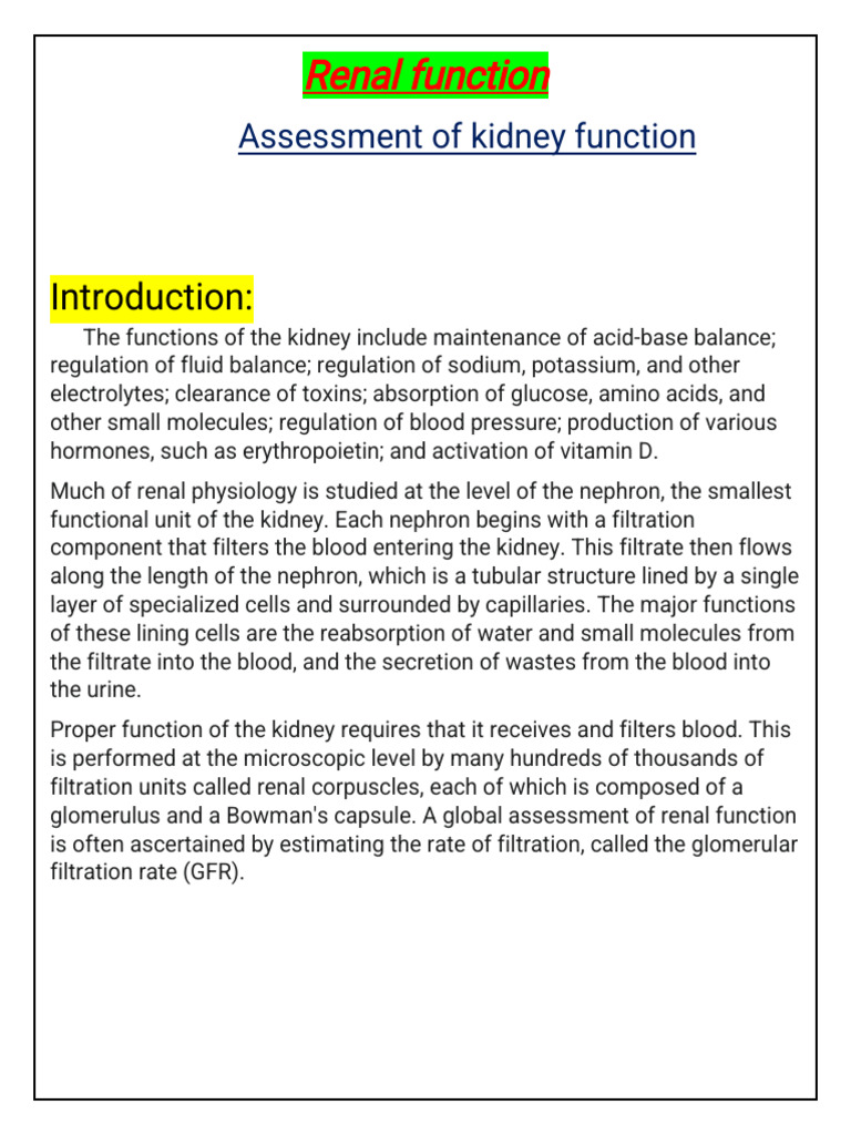 Renal Function, Kidney Function | PDF | Medical Specialties | Kidney