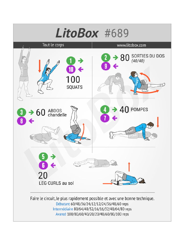 Litobox Circuit 689 | PDF