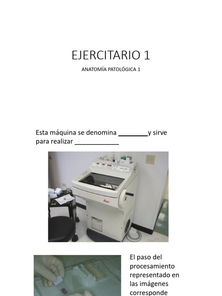 Introducción - SIN RESP | PDF | Tinción | Histología