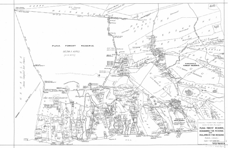 1927 - Puna Forest Reserve | PDF