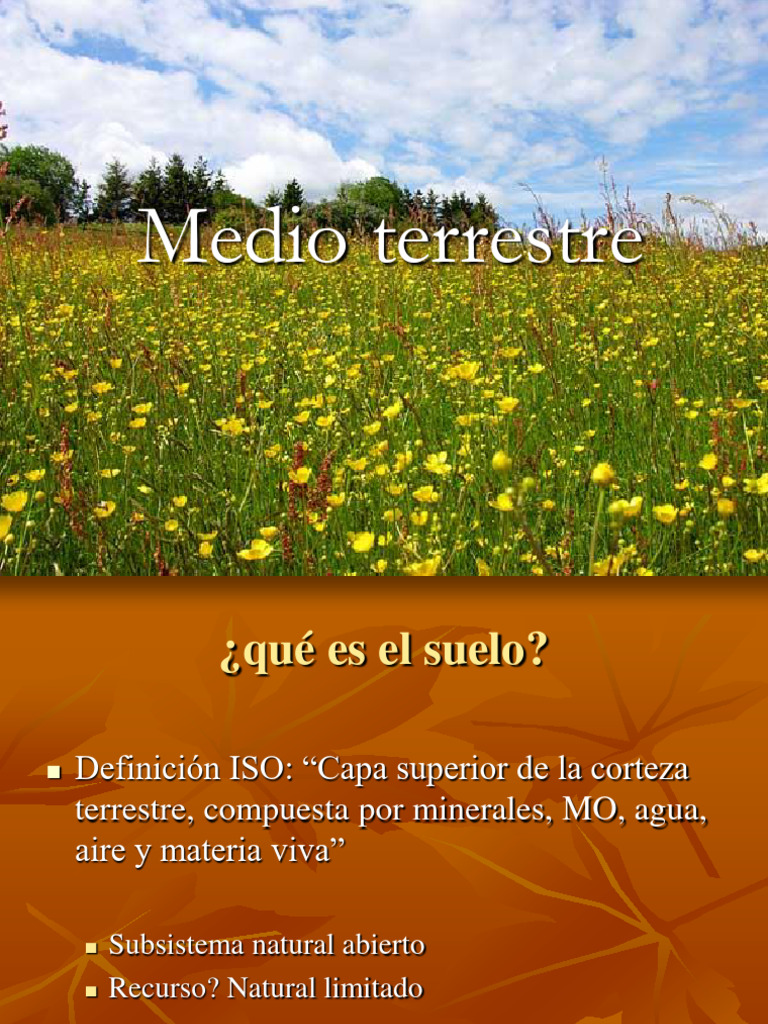 Medio Terrestre | PDF | Suelo | Agua
