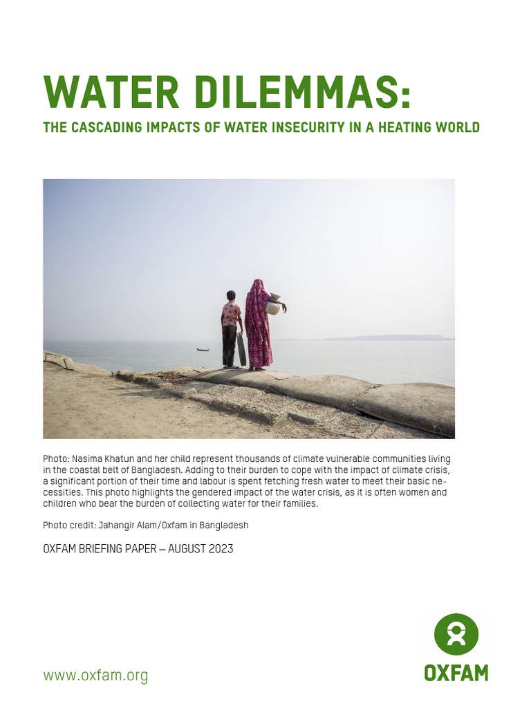 Briefing Paper Water Insecurity | PDF | Water Security | Wash