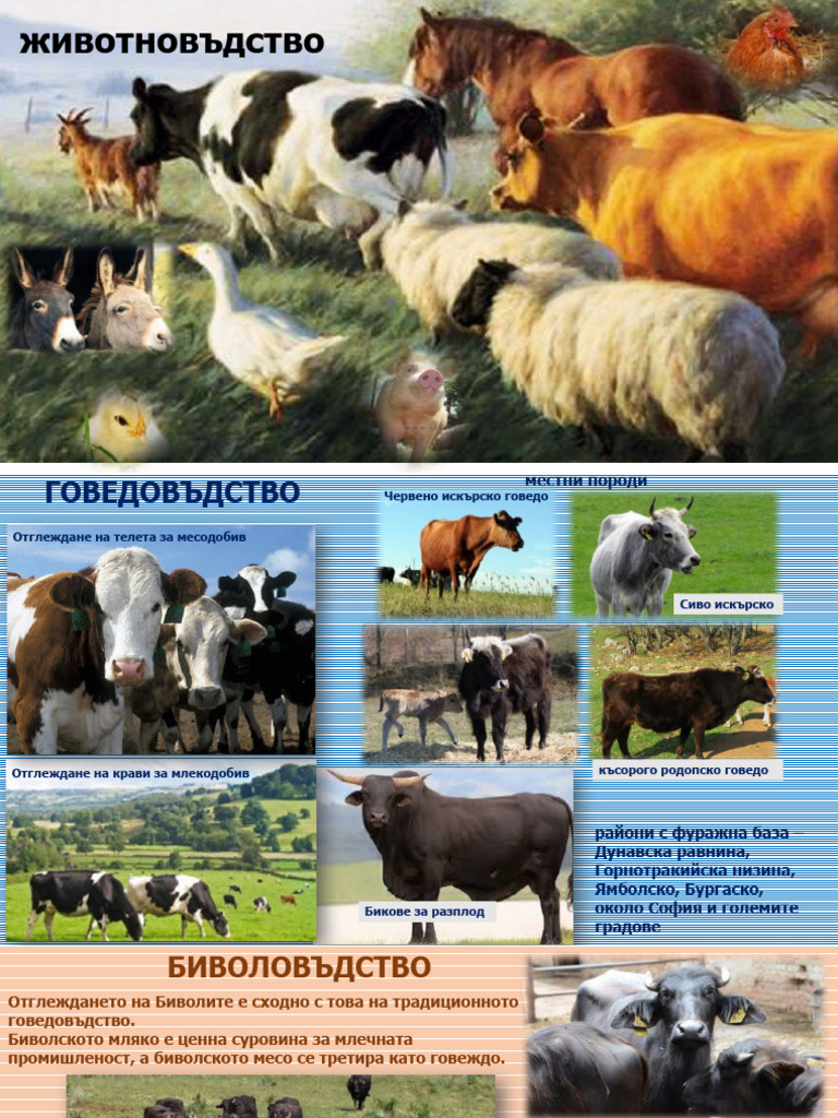 10 Zivotnoviedstvo | PDF