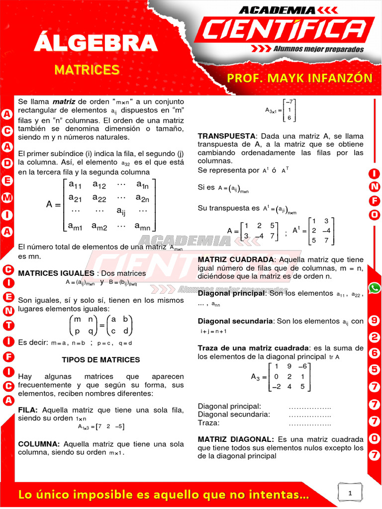 Matrices (Álgebra) - Científica | PDF | Matriz (Matemáticas) | Determinante
