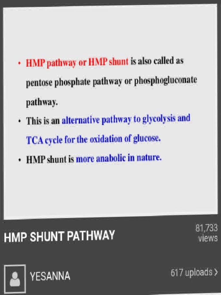 HMP Shunt Pathway | PDF | Metabolic Pathway | Nicotinamide Adenine Dinucleotide Phosphate