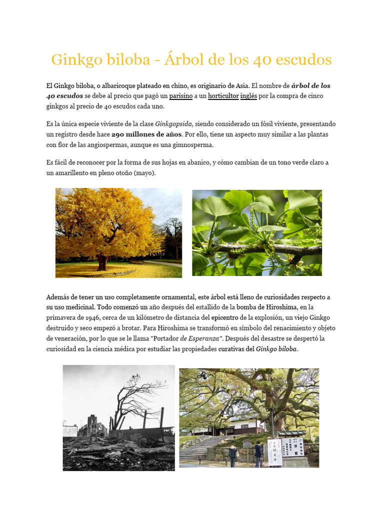 Ginkgo Biloba | PDF | Plantas | Botánica