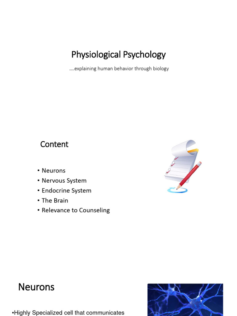 Brain and Behavior Psychology Diploma | PDF | Neuron | Neurotransmitter