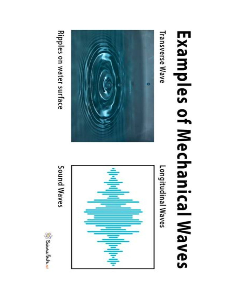 Isay | PDF
