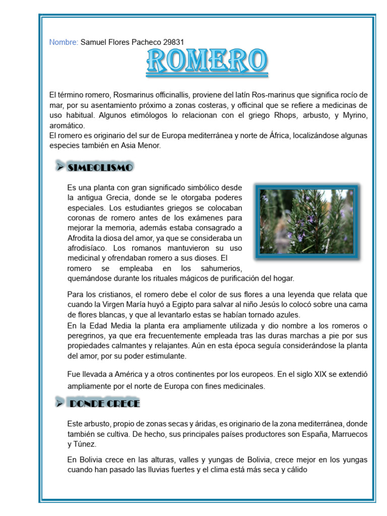 Romeo Samuel Flores Planificación Técnica | PDF | Romero | Plantas