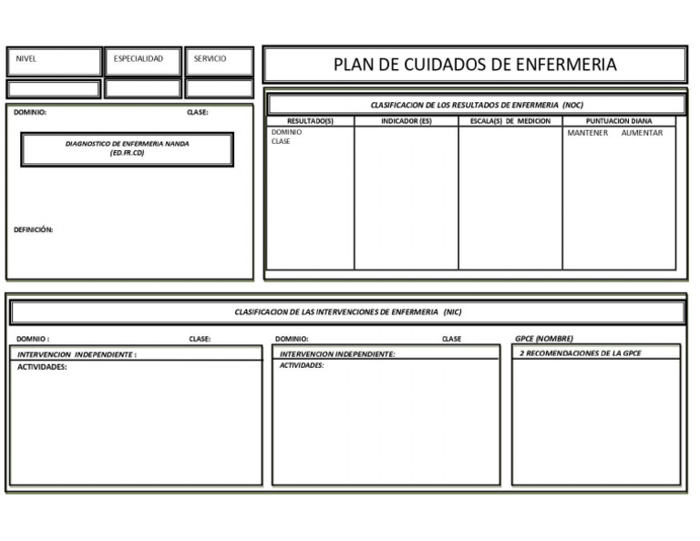 formato de nanda | PDF