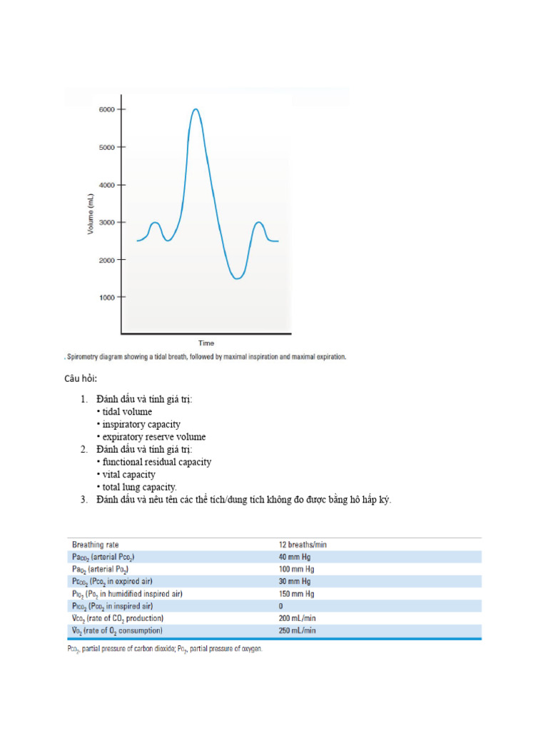 Cases-Respiratory Physiology | PDF