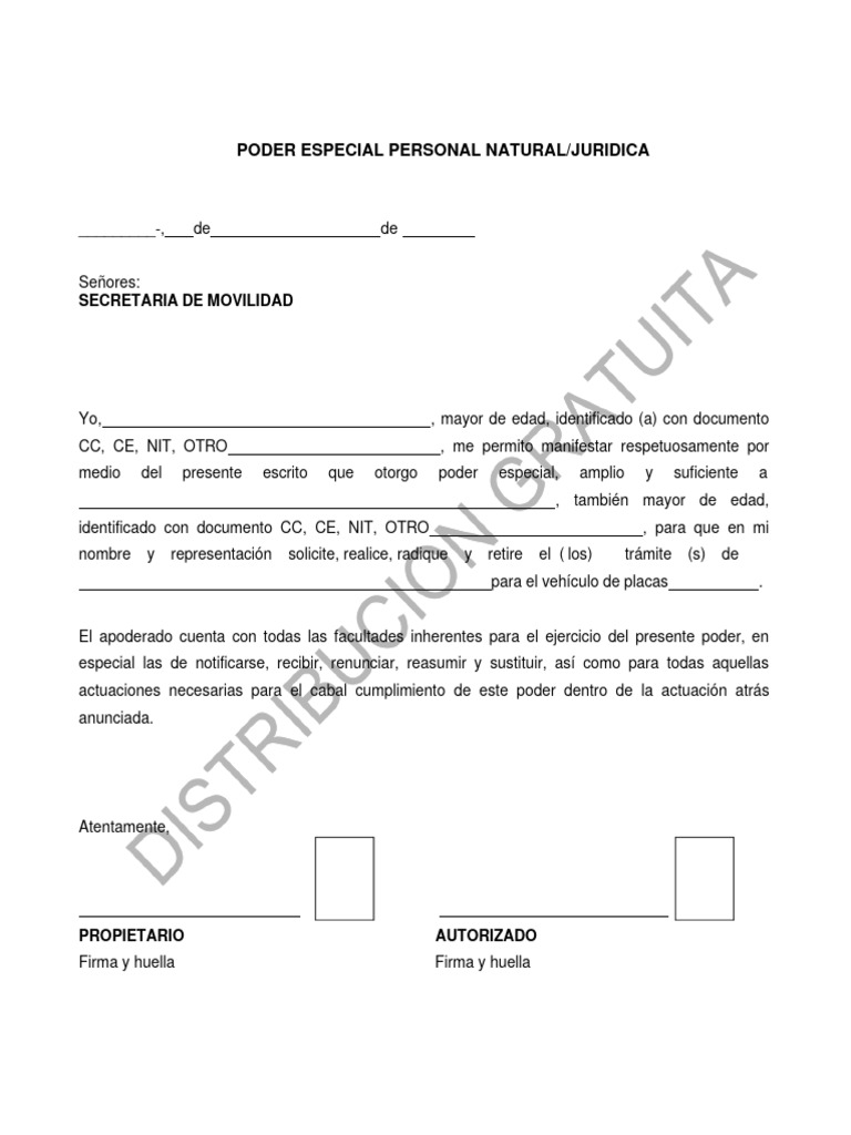 Formato Poder Especial Personal Natural Juridica | PDF