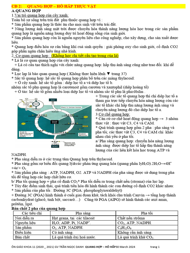 CĐ 2 QUANG HOP HO HAP | PDF