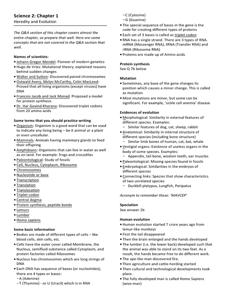 10th Science-2 | PDF | Cellular Respiration | Meiosis