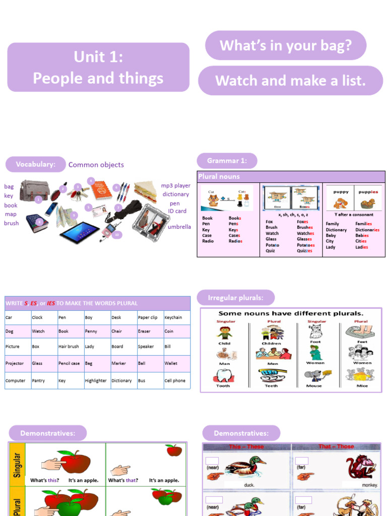 Unit 1 - Singular and Plural | PDF | Plural | Linguistics