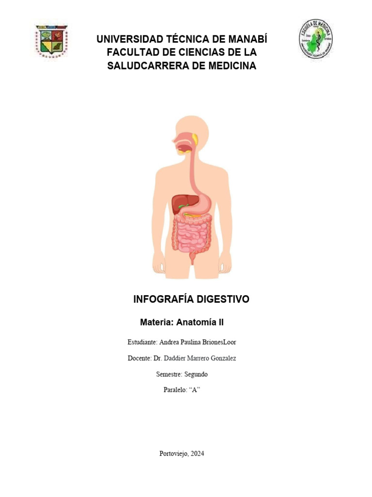 Infografia Digestivo | PDF | Intestino grueso | Colitis ulcerosa