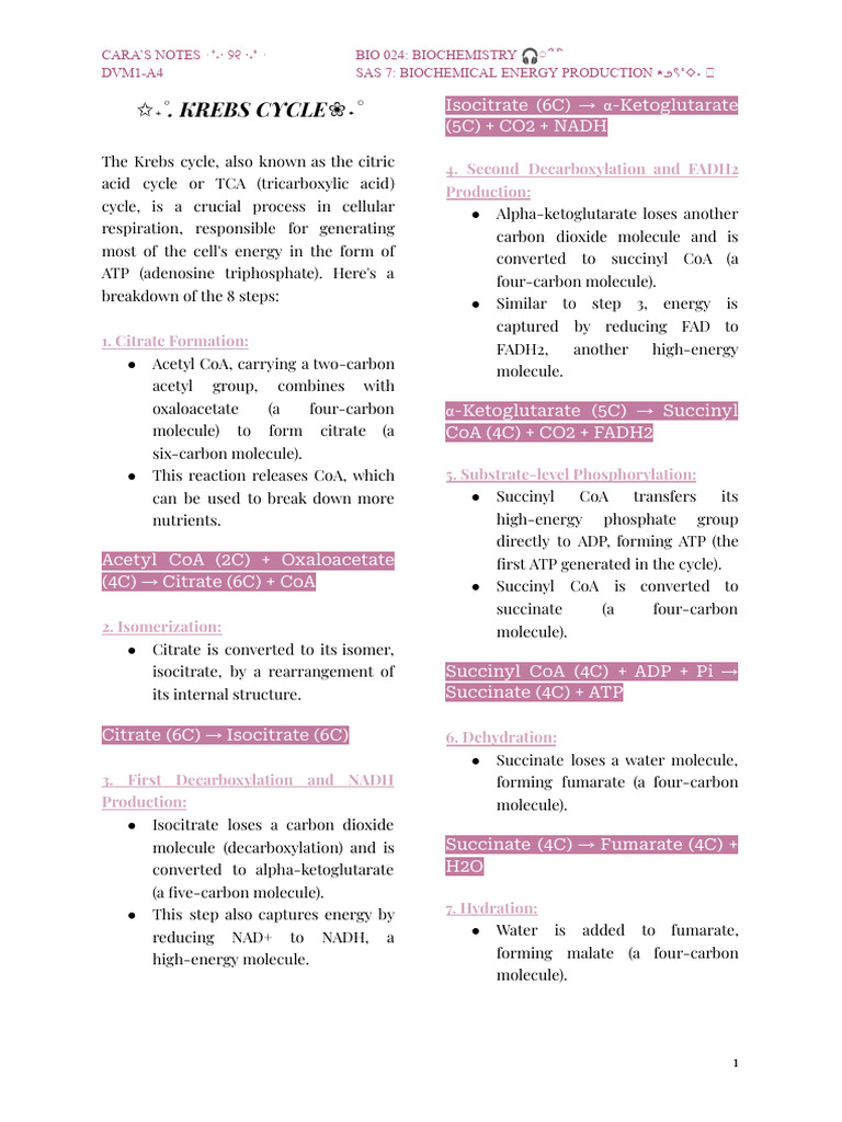 BIO024-Cara's Notes-SAS7 | PDF | Diet & Nutrition | Citric Acid Cycle