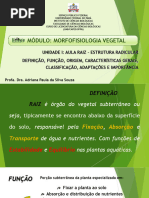Raízes Adventícias: Exemplos e Funções | PDF | Raiz | Morfologia vegetal