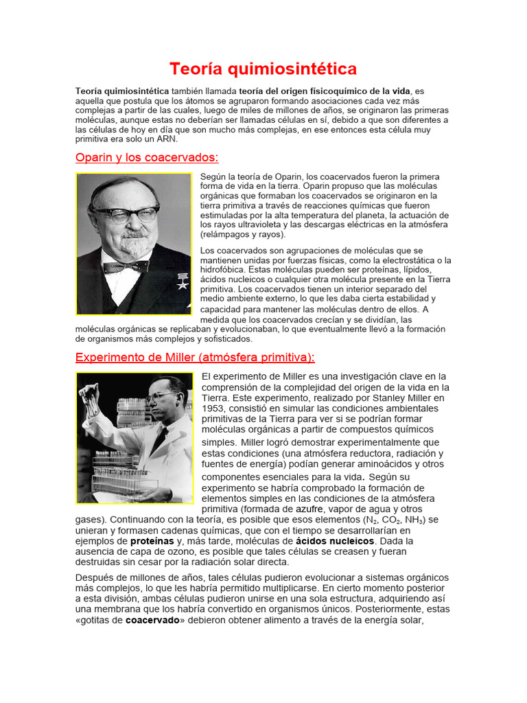 Teoría quimiosintética | PDF | Compuestos orgánicos | Organismos