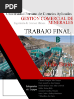 ESTAMIN Guia Usuario PDF | PDF | Minería | Contraseña