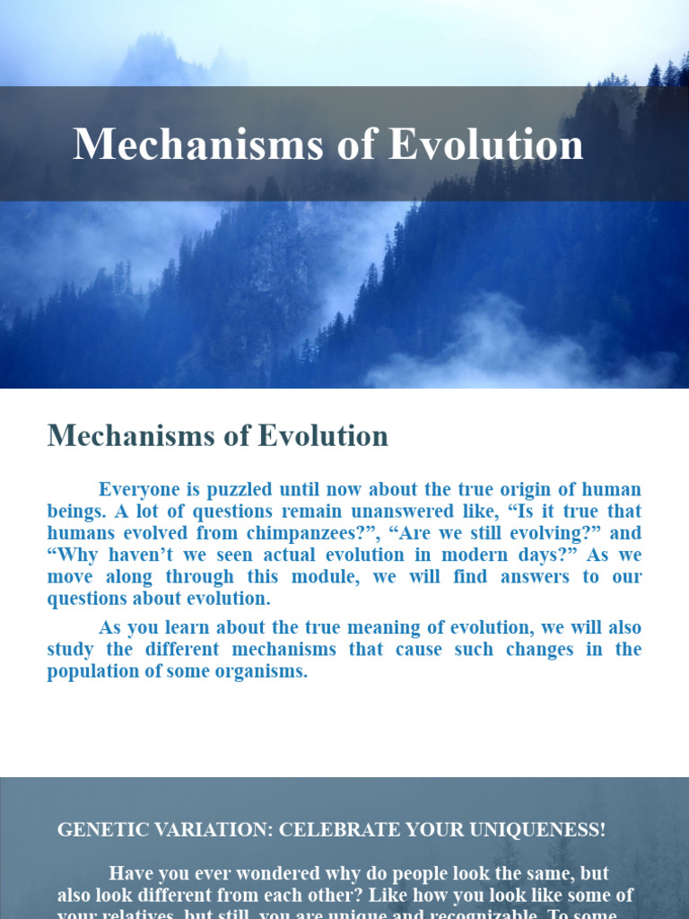 Mechanisms of Evolution | PDF | Natural Selection | Mutation