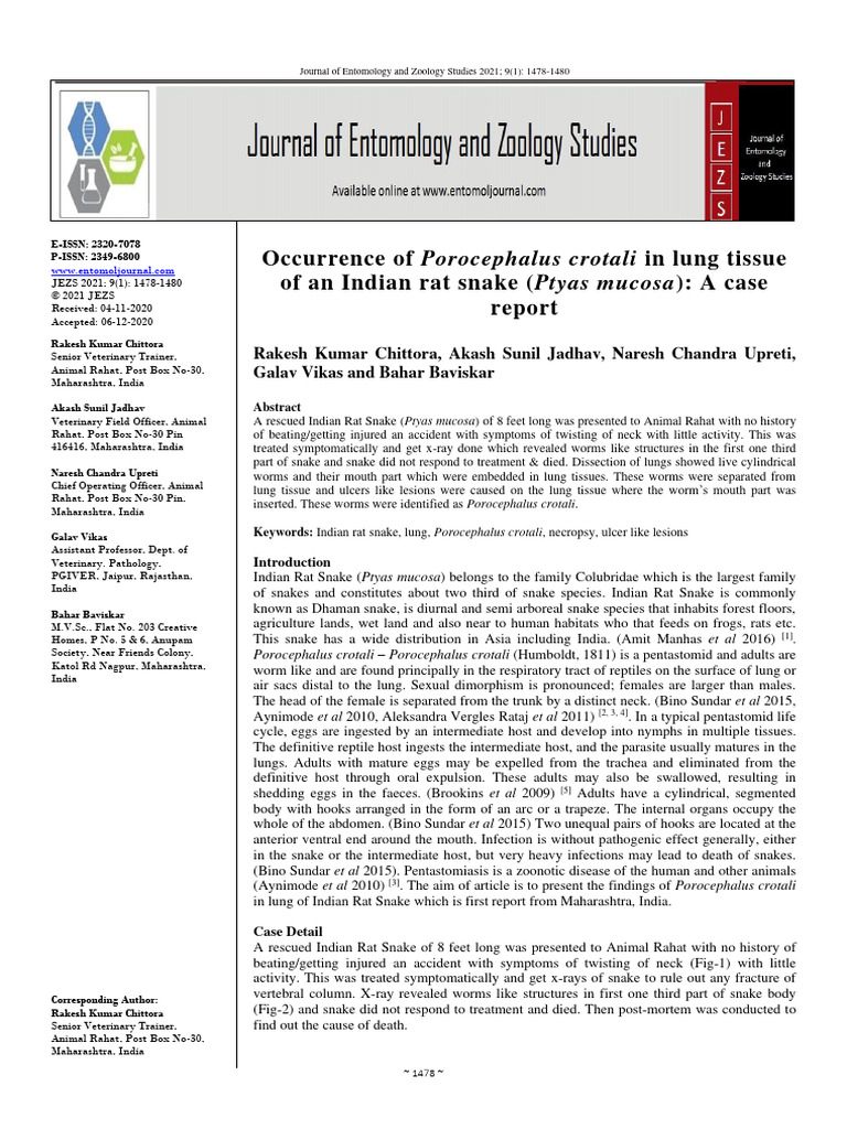 Occurrence of Porocephalus Crotali in Lu | PDF | Zoology