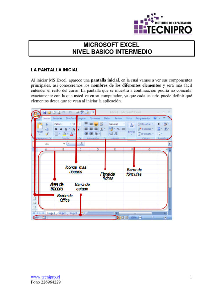 Manual Excel Basico Intermedio Tecnipro | PDF | Microsoft Excel | Hoja de cálculo