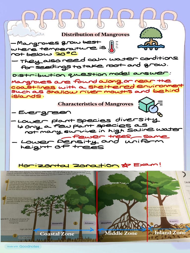 Chapter 5 Mangroves Pdf Mangrove Root