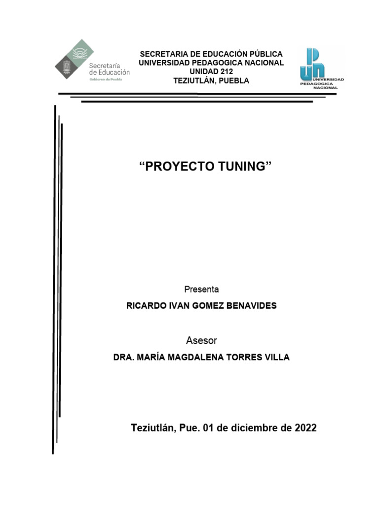 Proyecto Tuning Pdf Plan De Estudios Evaluación