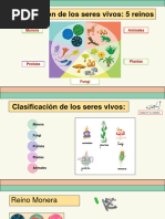 Allobates niputidea: Especie Única | PDF | Taxonomía (biología) | Género