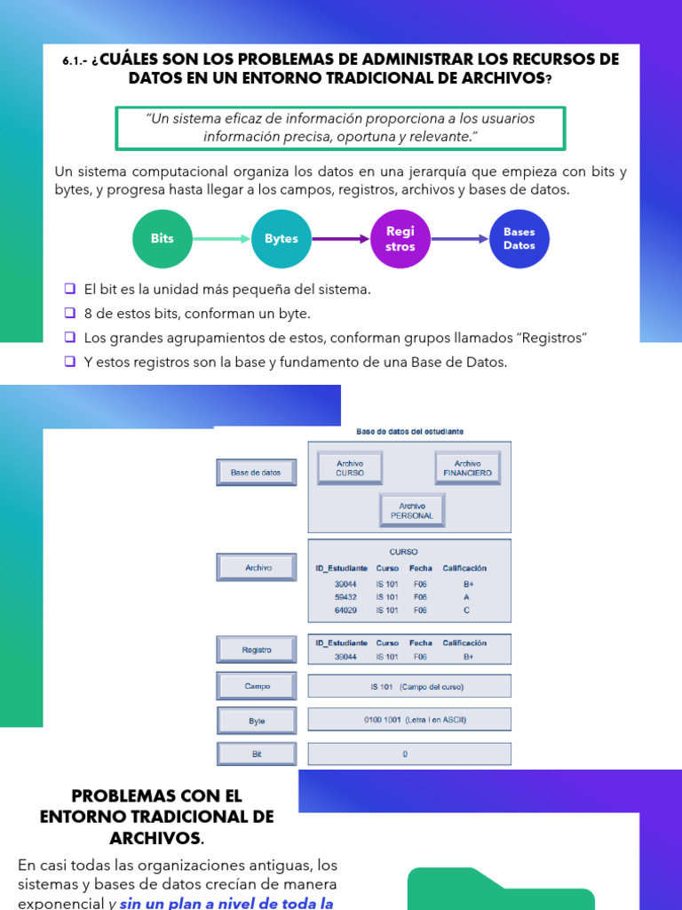 Capitulo 6 Fundamentos de Inteligencia de Negocios | PDF | Bases de datos | Archivo de computadora