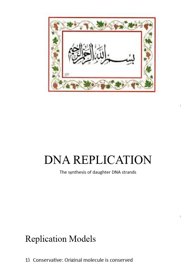 DNA Replication | PDF | Dna Replication | Primer (Molecular Biology)