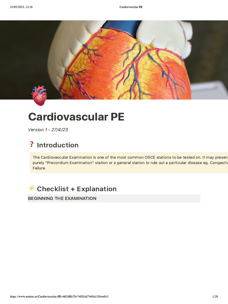 Cardiovascular PE | PDF | Heart | Pulse