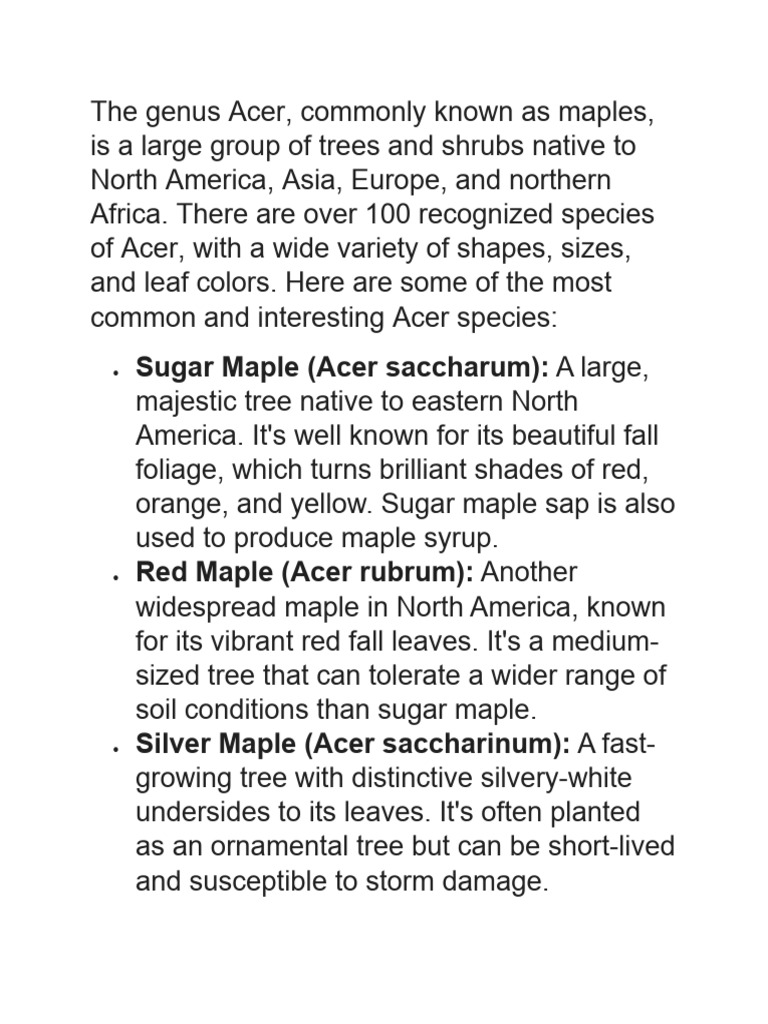 Common Acer Species Overview | PDF