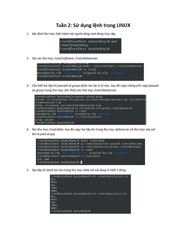 BuiMinhHuy Bai2 | PDF