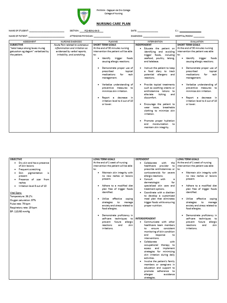 Skin NCP | PDF | Allergy | Dermatitis
