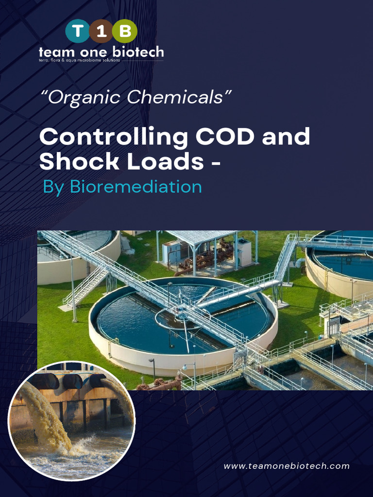 Organic Chemical Case Study | PDF | Sewage Treatment | Biodegradable ...