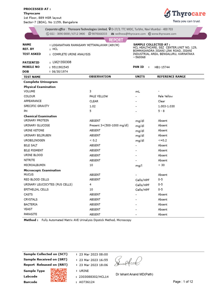 Report | PDF | Creatinine | Medical Tests