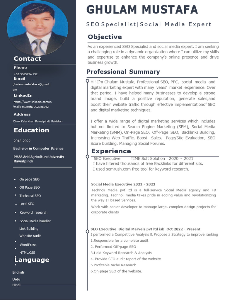 CV Ghulam Mustafa | PDF | Search Engine Optimization | Search Engine Marketing
