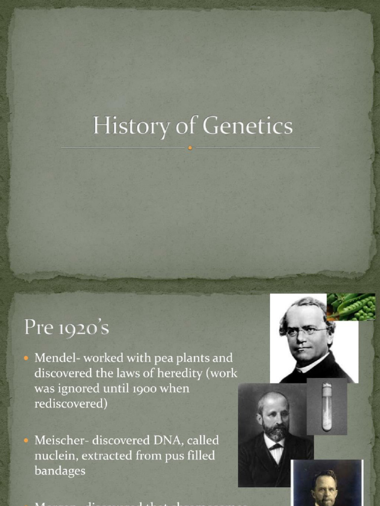 History of Genetics | PDF