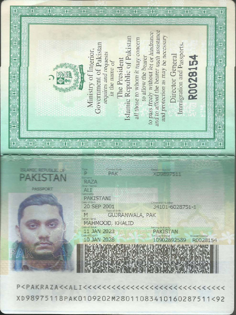 Ali Raza XD PP | PDF