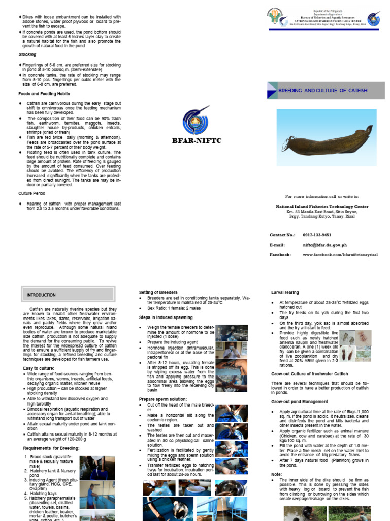BFAR-NIFTC Breeding and Culture of Catfish EDITED 2022 | PDF | Pond | Water