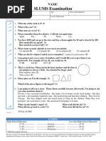 SLUMS Exam Guide for Cognitive Health | PDF