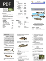TILAPIA Fish Farming Handbook | PDF | Aquaculture
