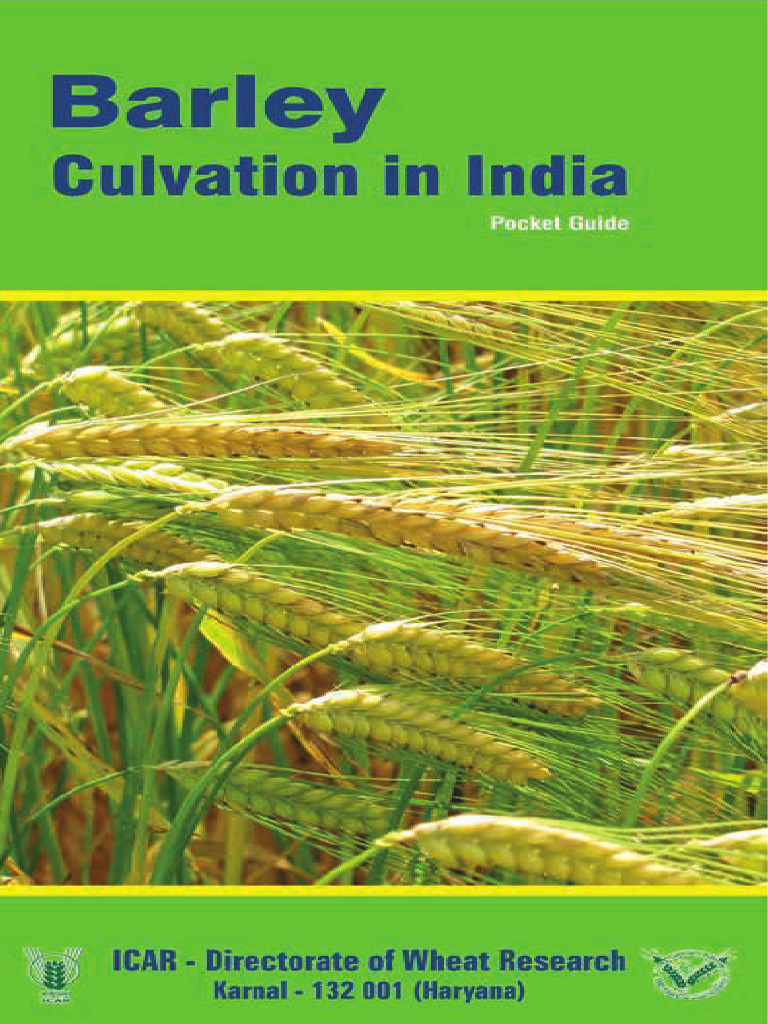 Barley Cultivation Guide India | PDF | Tillage | Sowing