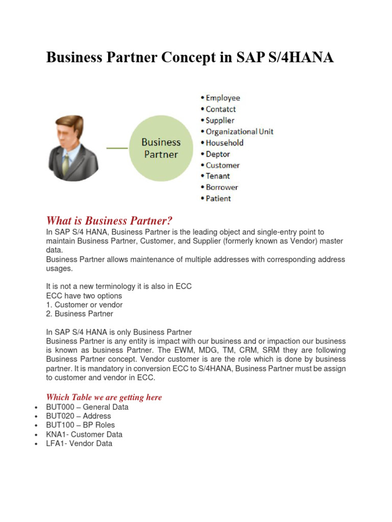 BP Role in CV | PDF | Information Technology Management | Business