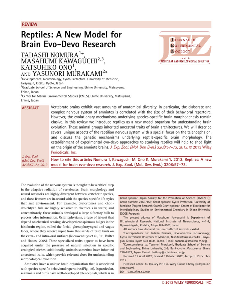 Reptiles A New Model For Brain Evo Devo Research | PDF | Cerebral ...